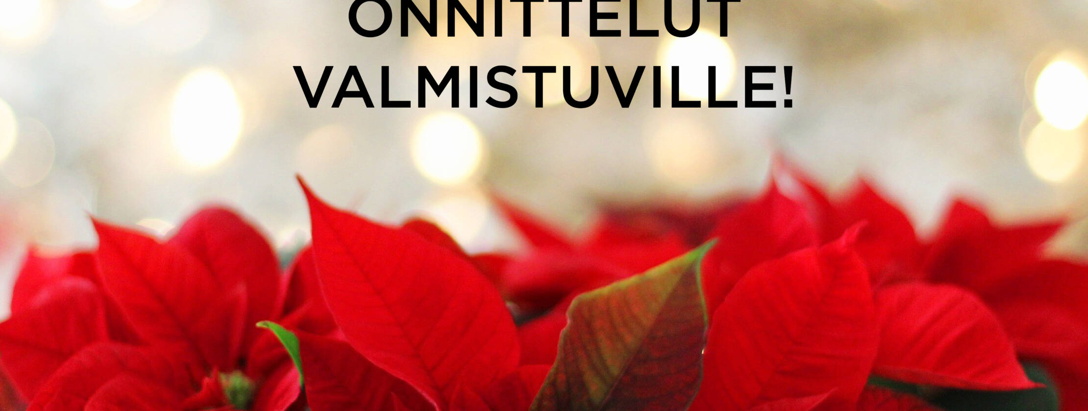 Onnittelut syksyllä 2023 valmistuneille! - WinNova